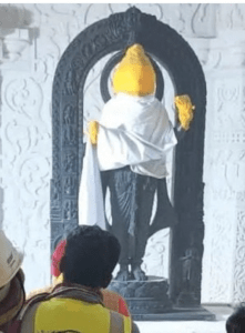 First 'look' of Ram Lalla idol inside Ayodhya temple revealed ...