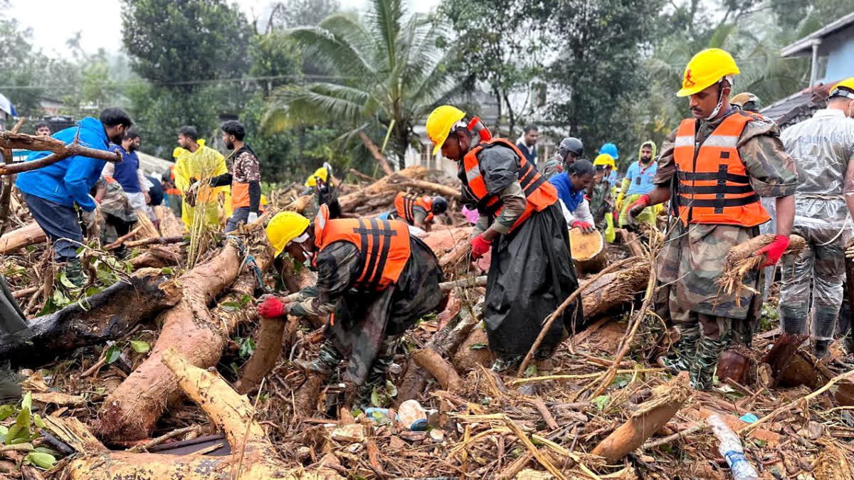 Wayanad disaster: Search operations continue, 206 missing - TheBetterAndhra