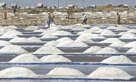 TN's Thoothukudi Salt, Authoor Poovan Banana, Villiseri Lemon seek GI ...